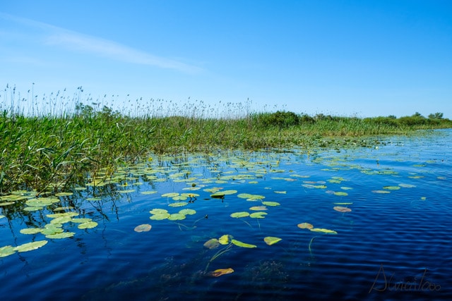 Delta del Danubio, un paraíso de naturaleza en Rumania.