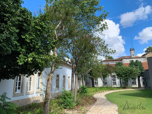 Qué ver en Vizela, termas, gastronomía y mucho más.