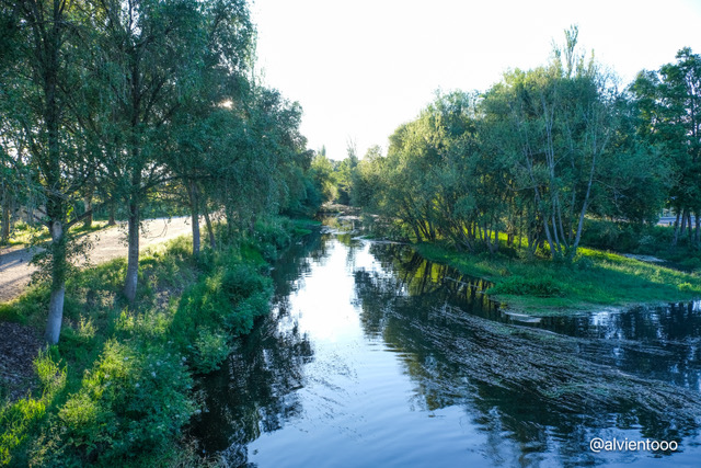 Qué ver en A Limia: historia, naturaleza y entroido